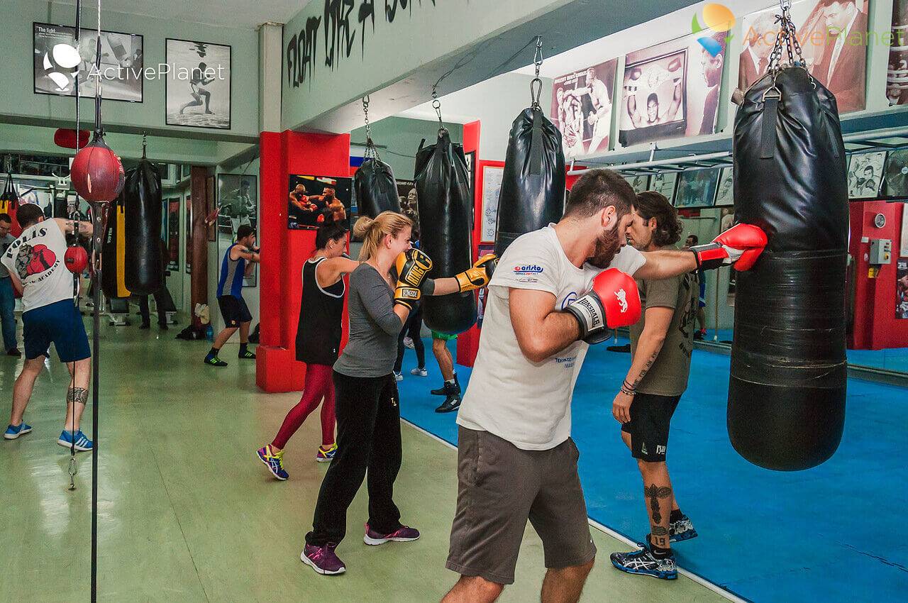 Boxing Gathering in Cyprus