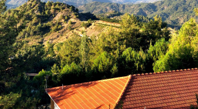 Pelendri PEO kids camp