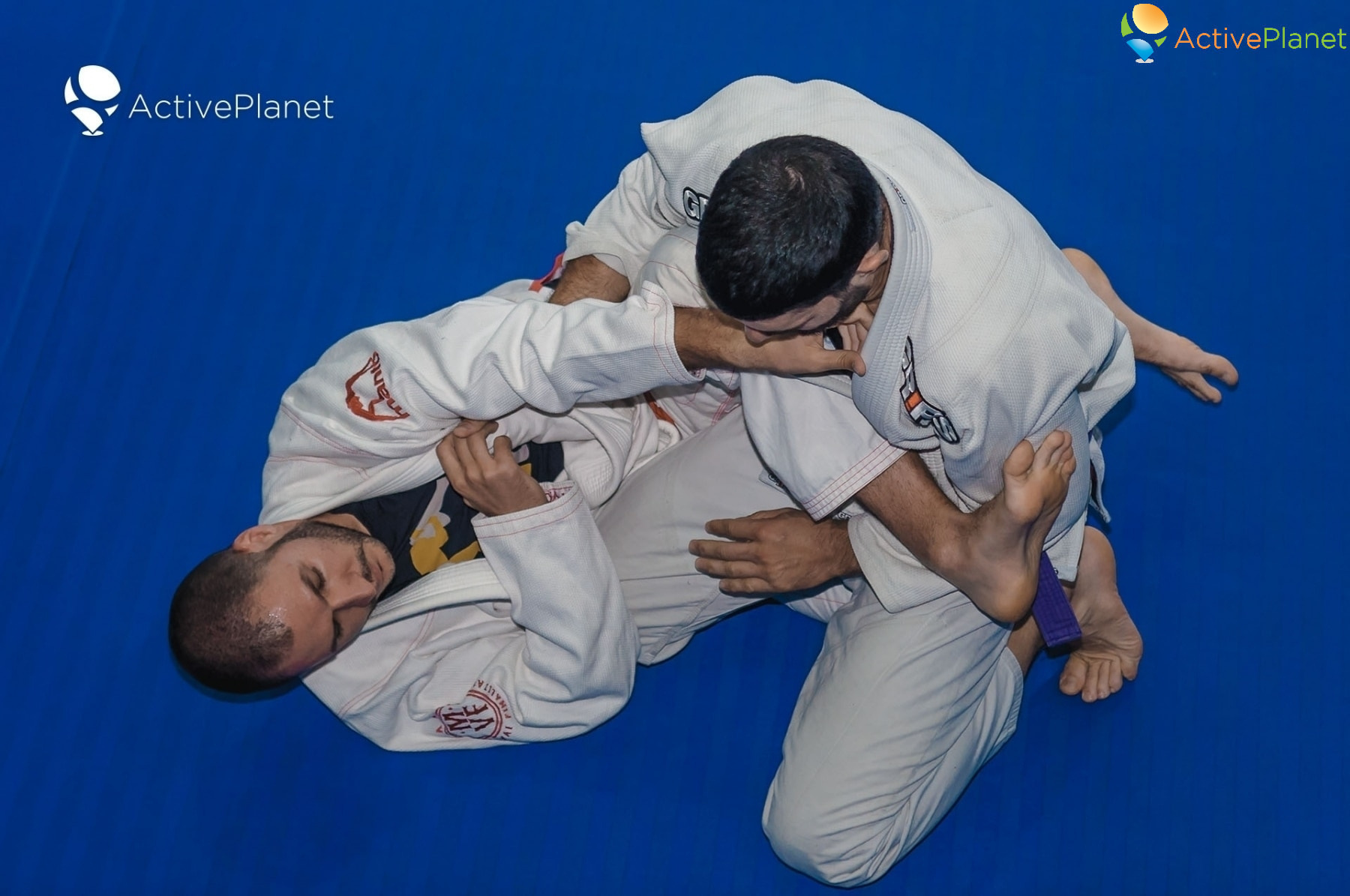 Jiu-Jitsu training camps