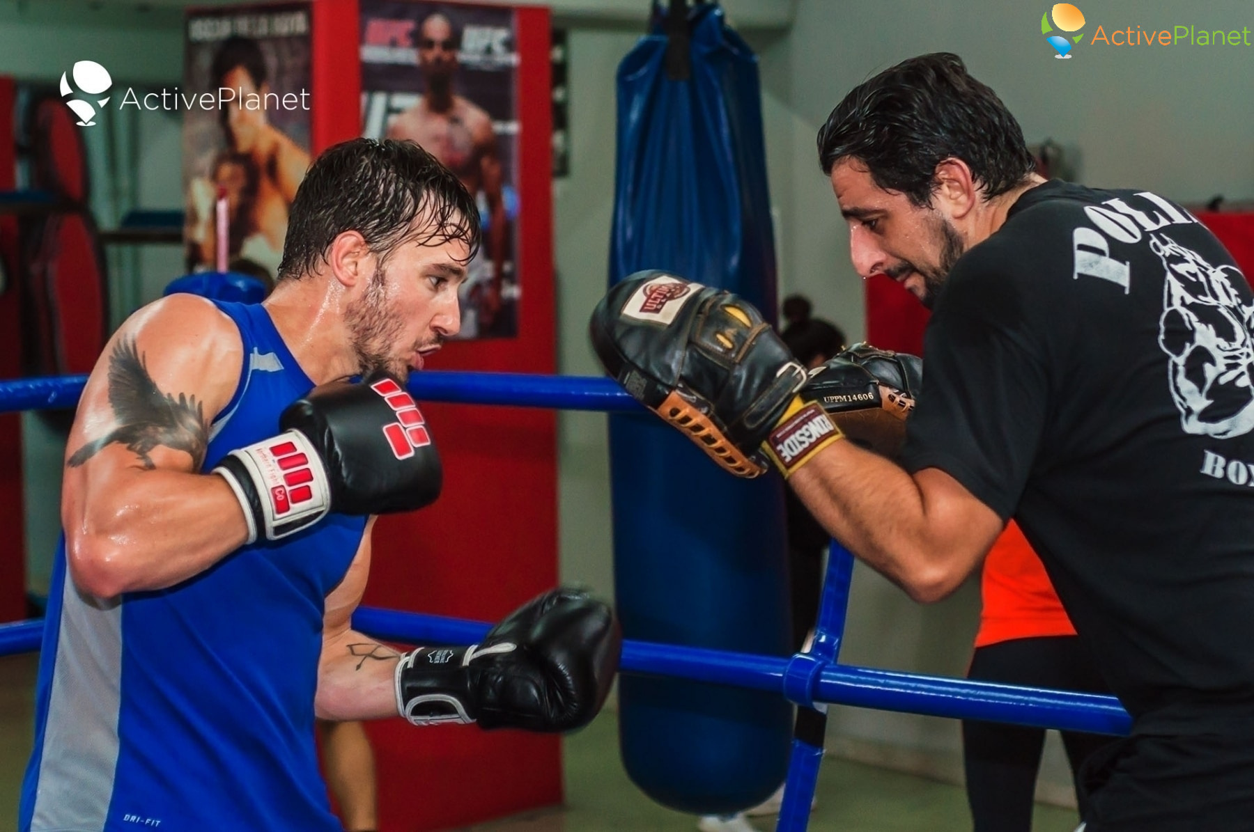 Boxing (AIBA) training camps