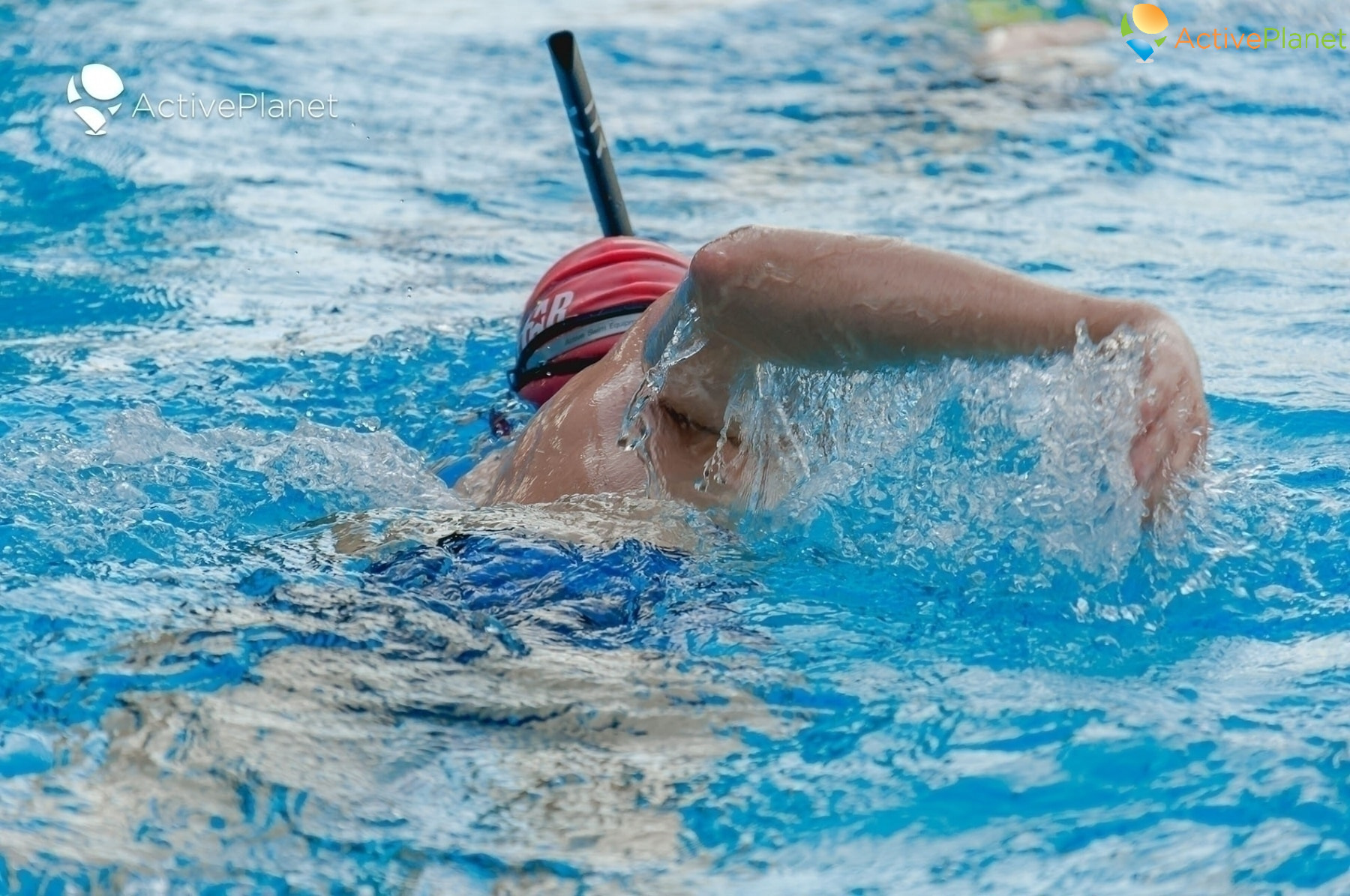 Swimming (FINA) training camps