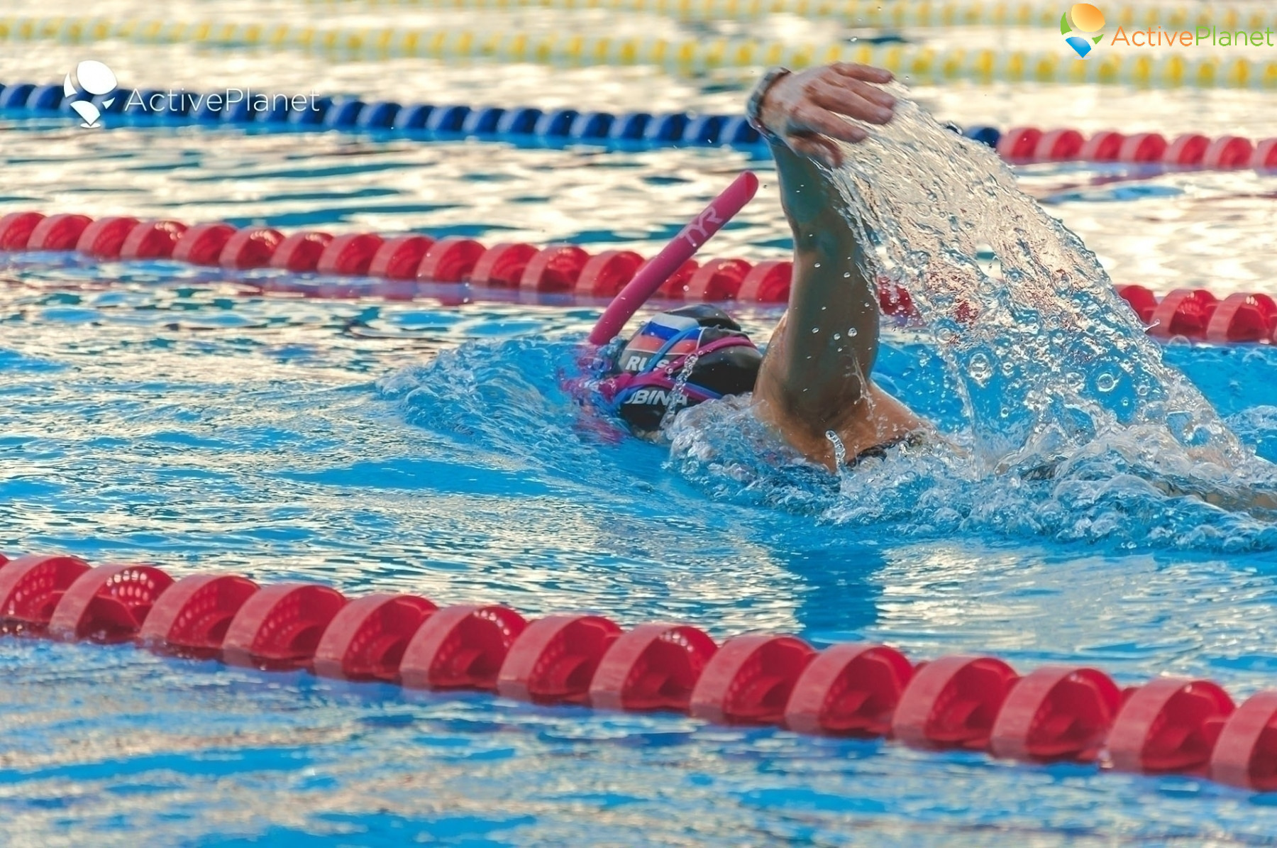 Swimming (FINA) training camps