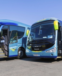 Our transport fleet in Cyprus