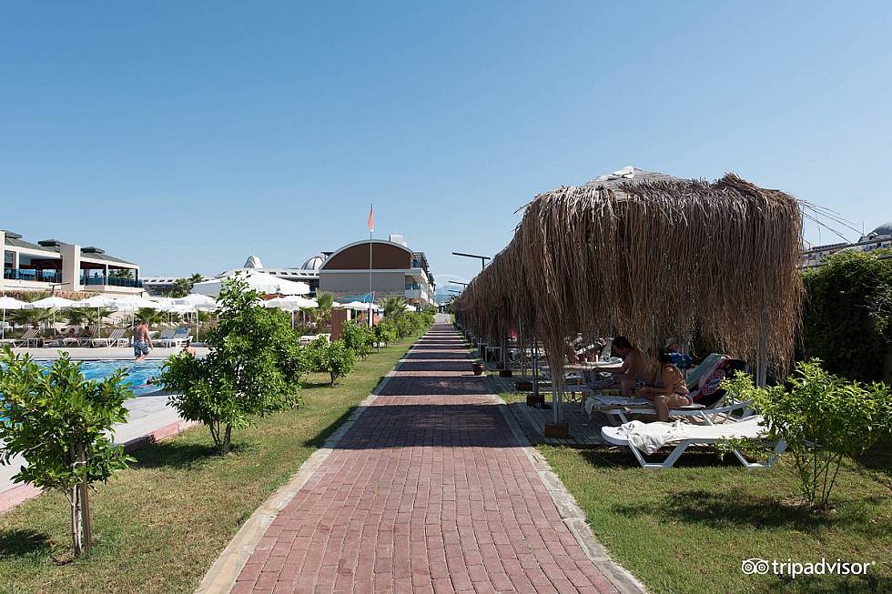 TUI MAGIC LIFE Jacaranda