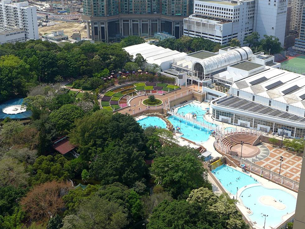 Sport venue Kowloon Park Swimming Pool for the team training camps