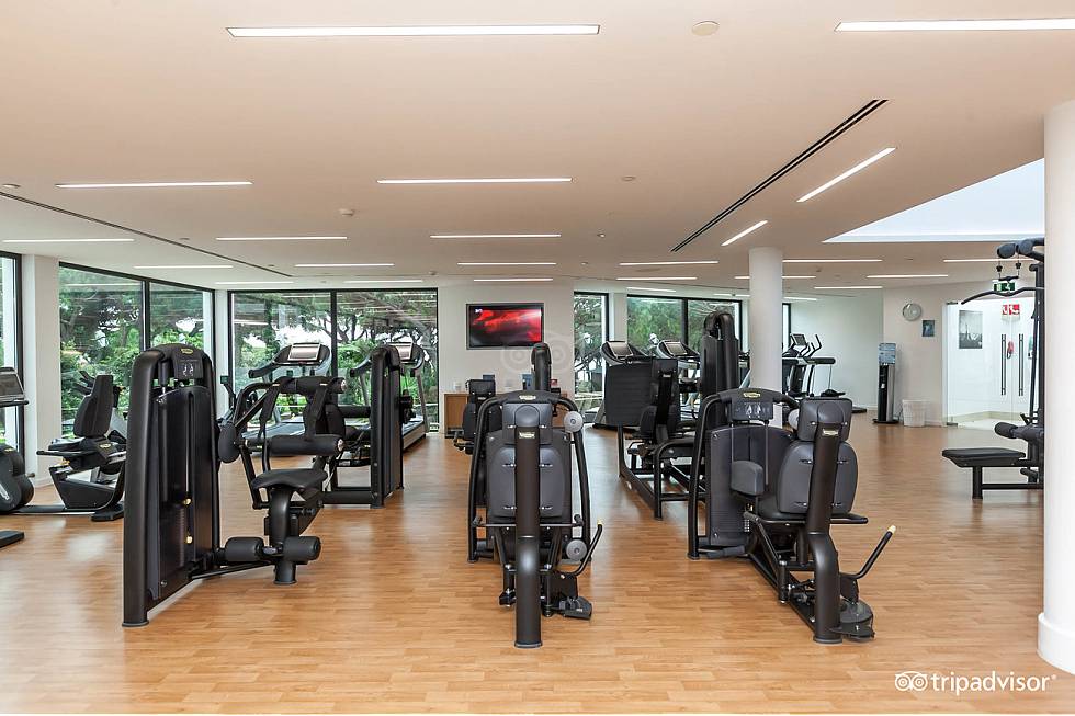 Sport venue Pine Cliffs Resort for the team training camps