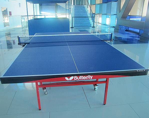 Sport venue Hamdan Sports Complex for the team training camps