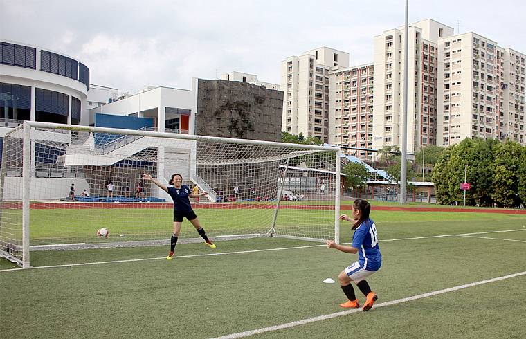 Sport venue Sports Complex of the Meridian Junior College for the team ...