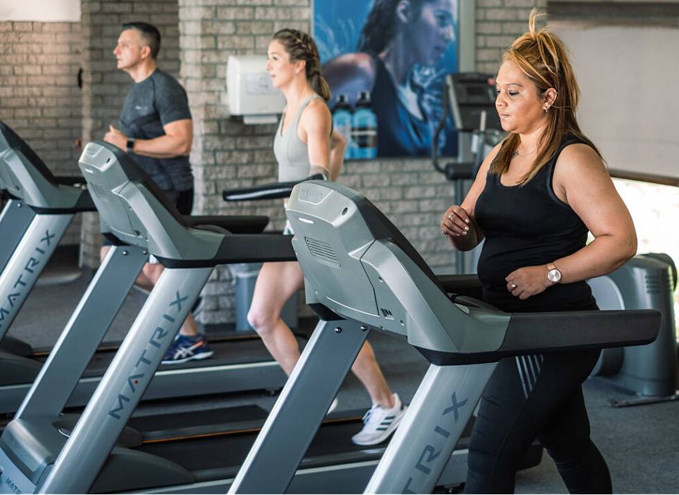 Sport venue Maties Gymnasium for the team training camps