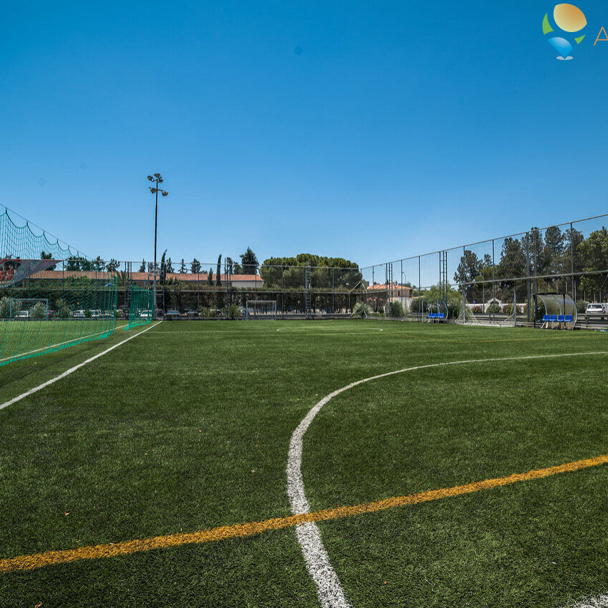 Sport venue COSTAS PAPAELLINAS Arena for the team training camps