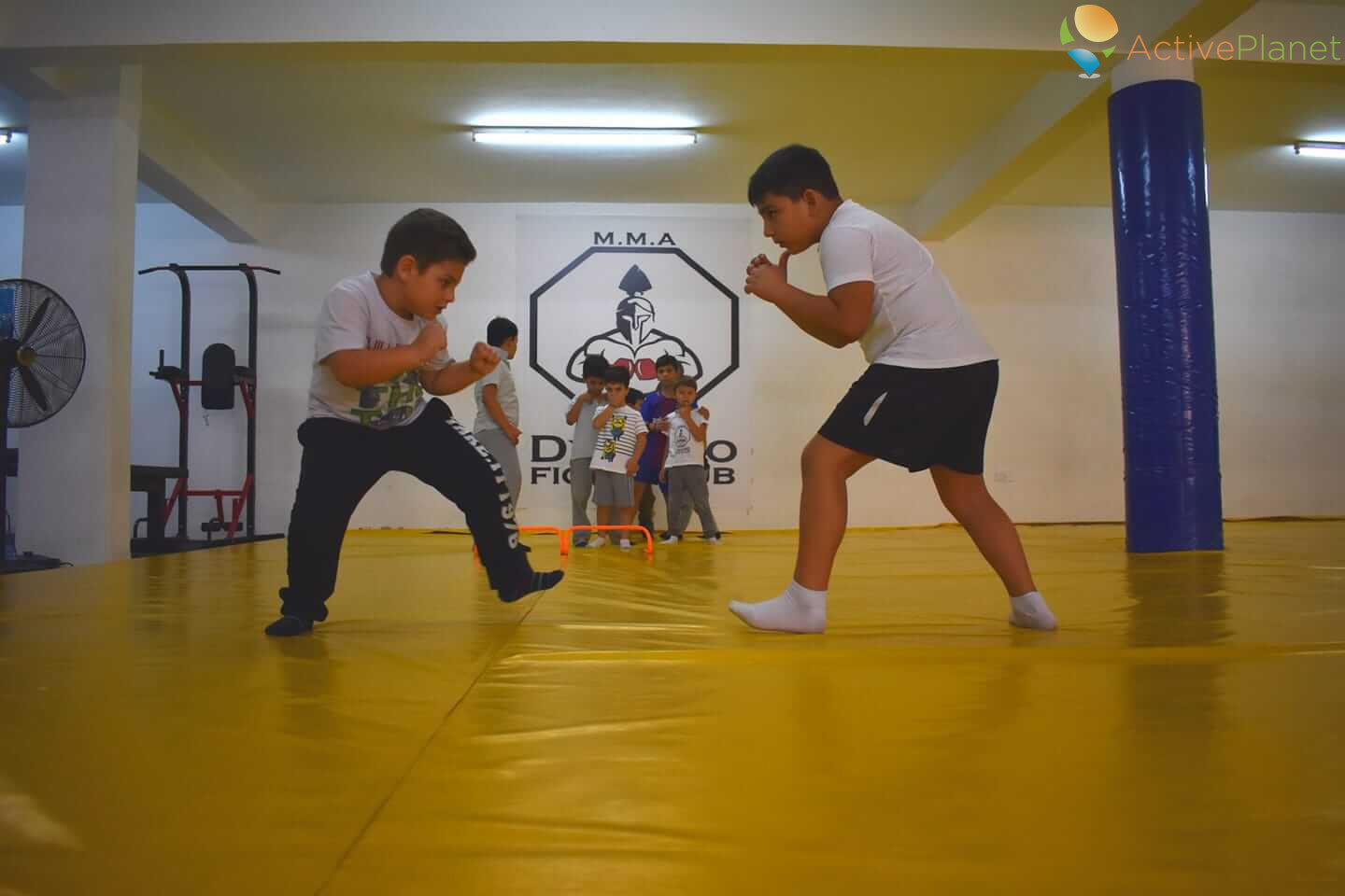 Sport venue Dynamo Fight Club for the team training camps