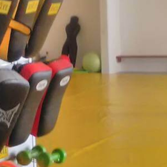 Sport venue Dynamo Fight Club for the team training camps