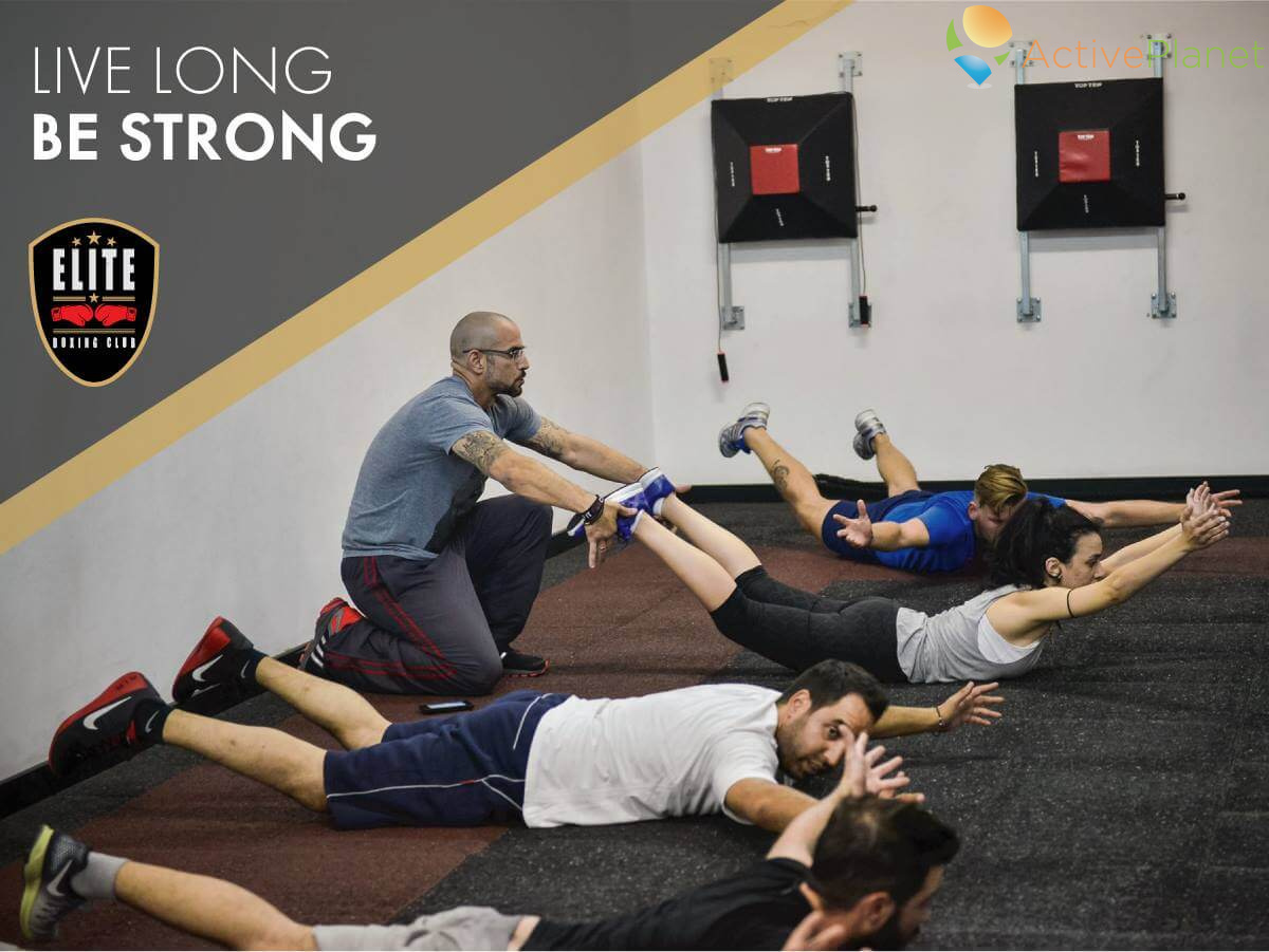 Sport venue Elite Boxing Club for the team training camps