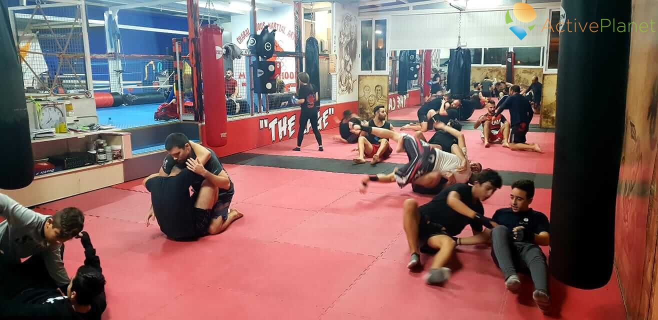 Sport venue MMA school The cage for the team training camps