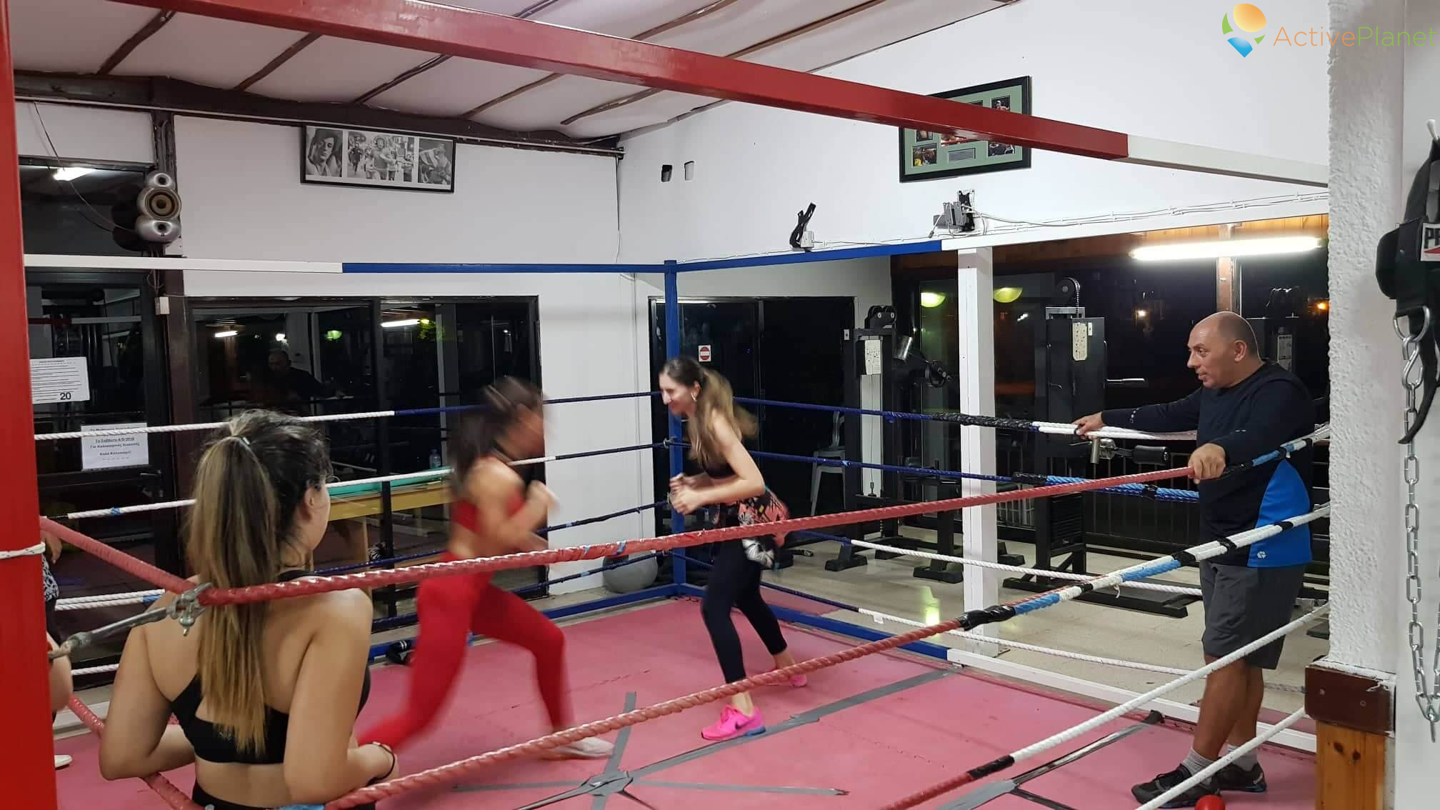 Sport venue Team Pasha Boxing Club and Fitness Center for the team ...