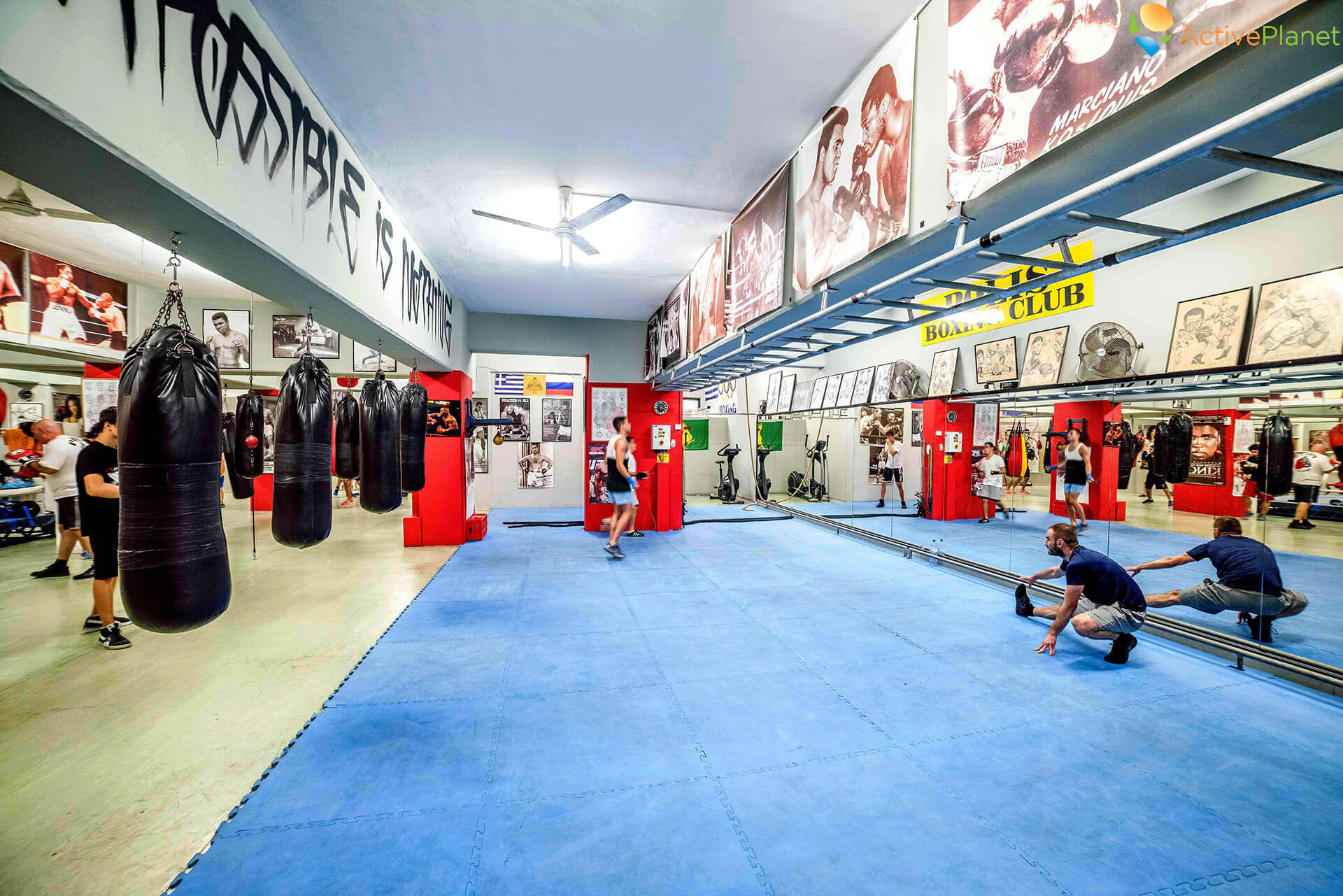 Sport venue Polis Boxing Academy for the team training camps